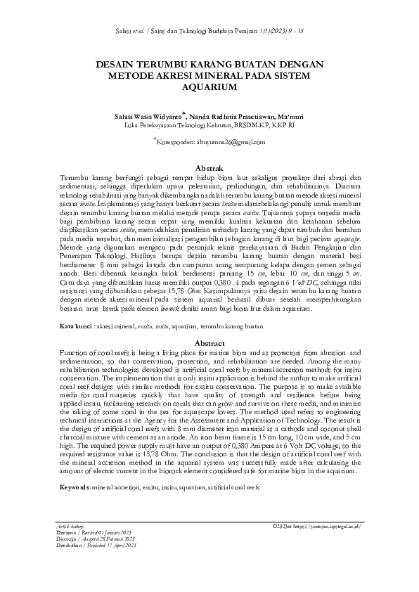 (PDF) DESAIN TERUMBU KARANG BUATAN DENGAN METODE AKRESI MINERAL PADA ...