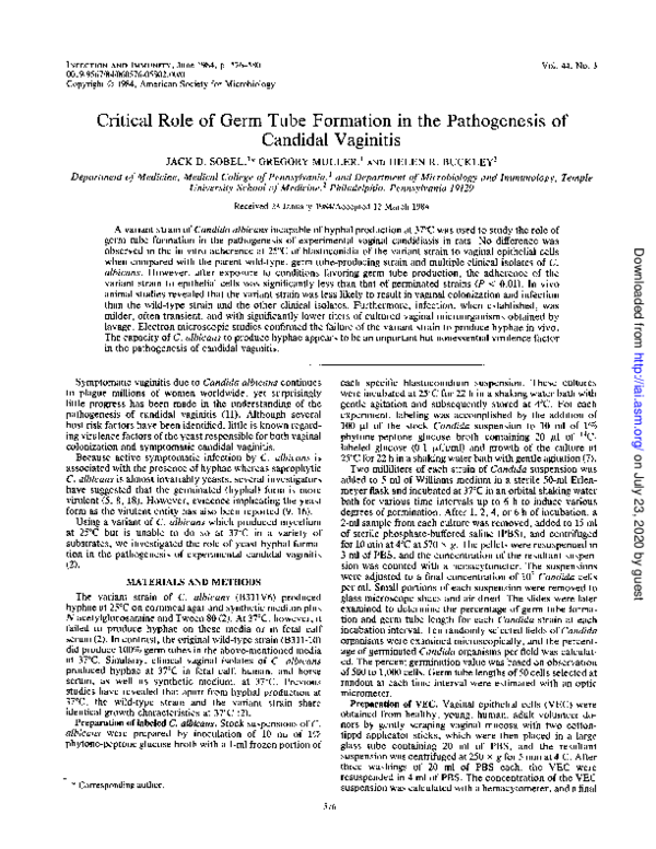 (PDF) Critical role of germ tube formation in the pathogenesis of ...