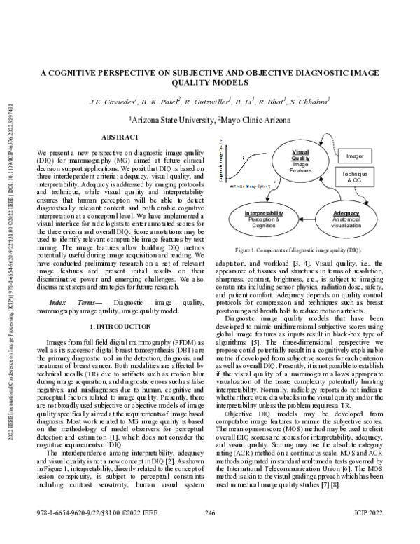 (PDF) A Cognitive Perspective on Subjective and Objective Diagnostic ...