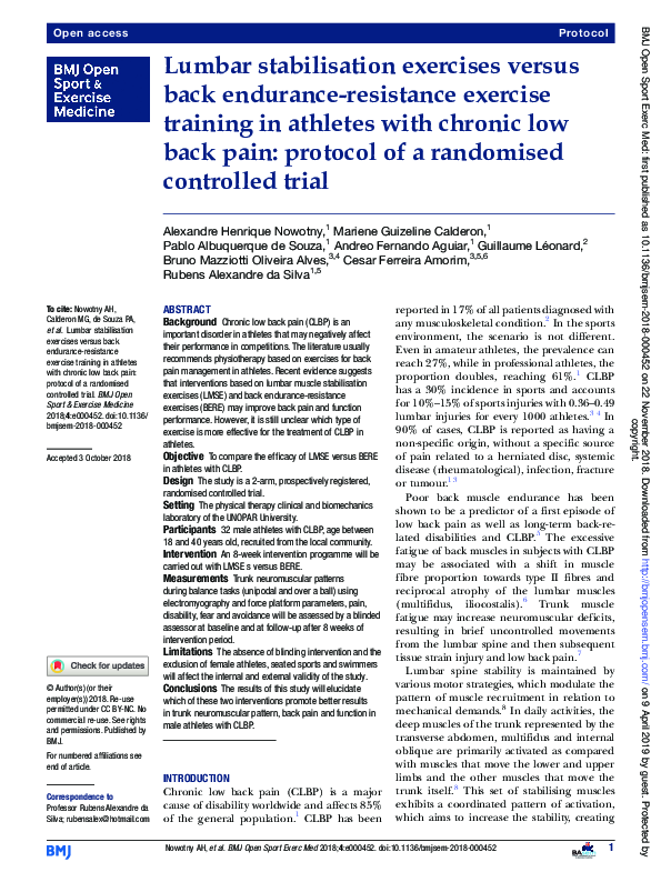 (PDF) Lumbar stabilisation exercises versus back endurance-resistance ...