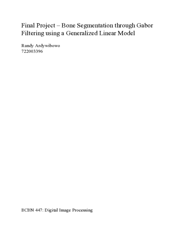 (PDF) Final Project – Bone Segmentation through Gabor Filtering using a ...