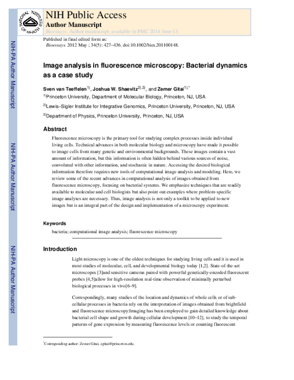 (PDF) Image analysis in fluorescence microscopy: Bacterial dynamics as ...