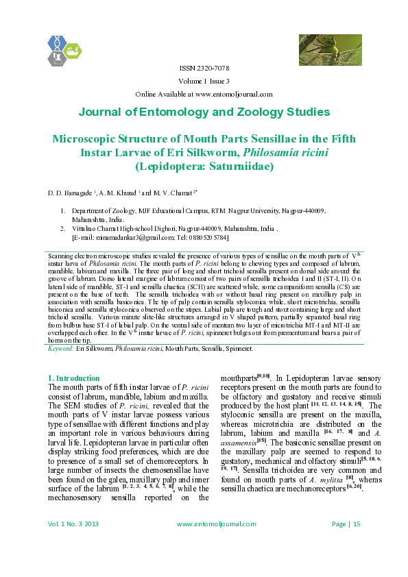 (PDF) Microscopic Structure of Mouth Parts Sensillae in the Fifth ...