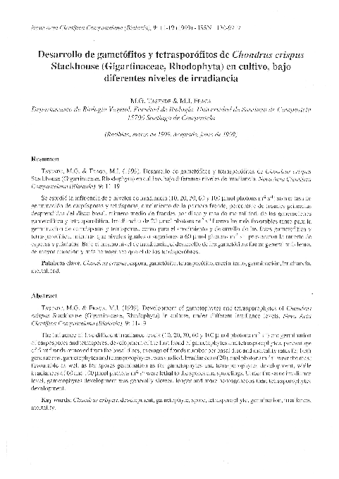 (PDF) Desarrollo de gametófitos y tetrasporófitos de Chondrus crispus ...