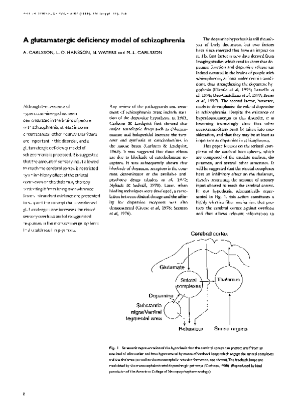 (PDF) A glutamatergic deficiency model of schizophrenia | LO Hansson ...