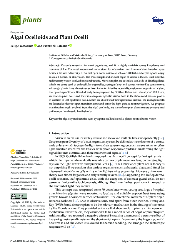 (PDF) Algal Ocelloids and Plant Ocelli