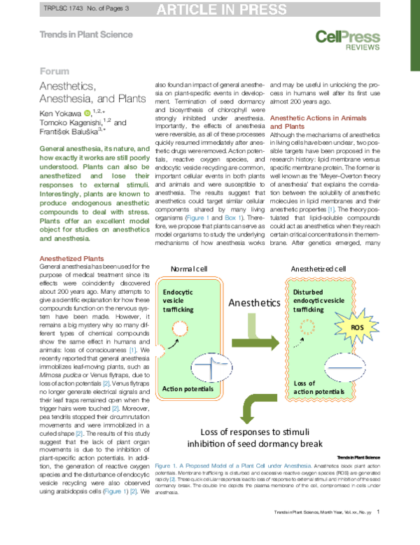 (PDF) Anesthetics, Anesthesia, and Plants