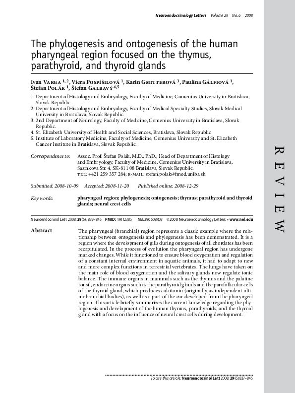 (PDF) The phylogenesis and ontogenesis of the human pharyngeal region ...