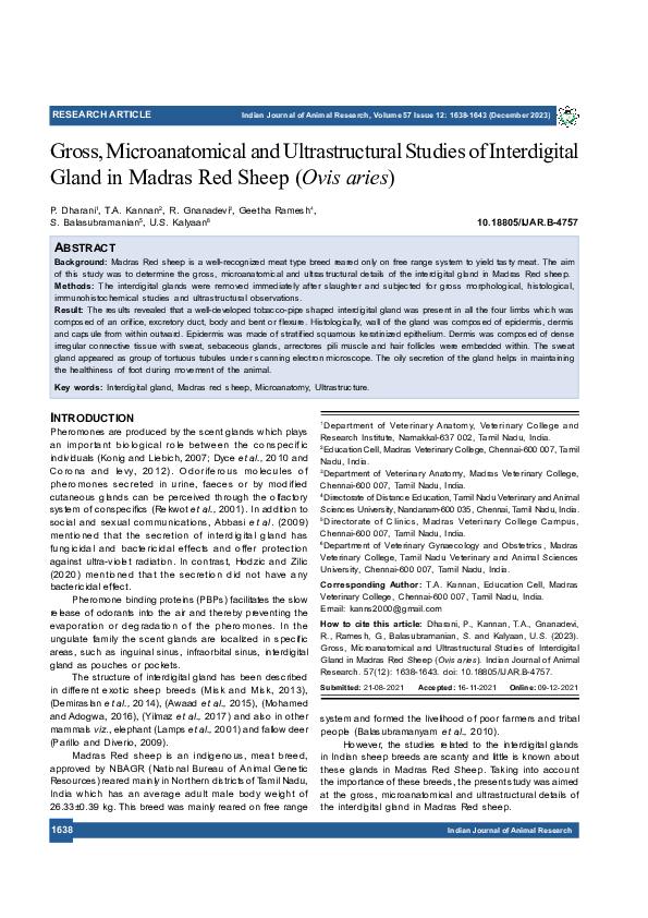 (PDF) Gross, Microanatomical and Ultrastructural Studies of ...