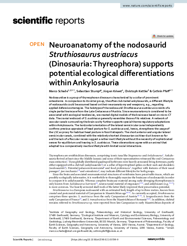 (PDF) Neuroanatomy of the nodosaurid Struthiosaurus austriacus ...