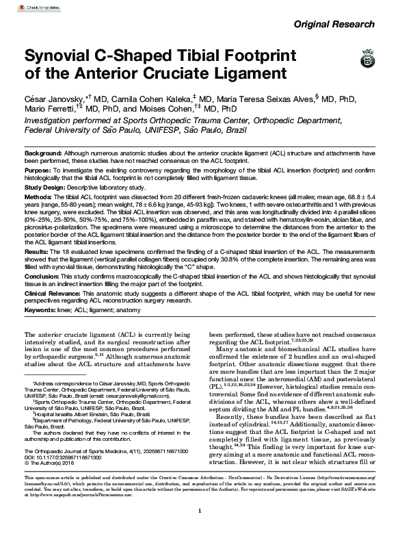 (PDF) Synovial C-Shaped Tibial Footprint of the Anterior Cruciate Ligament
