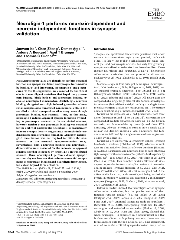 (PDF) Neuroligin-1 performs neurexin-dependent and neurexin-independent ... (PDF) Neuroligin-1 performs neurexin-dependent and neurexin-independent ...