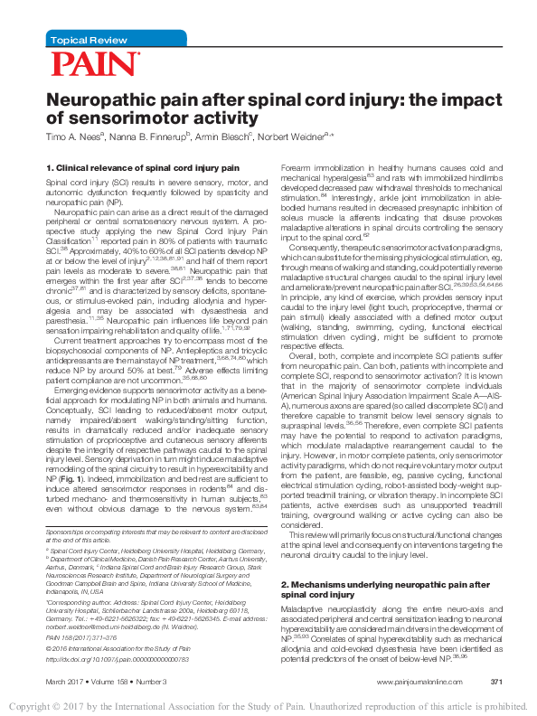 (PDF) Neuropathic pain after spinal cord injury | Eva Widerström-noga ...