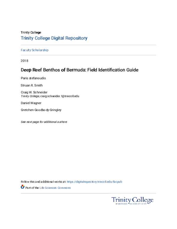 (PDF) Deep Reef Benthos of Bermuda: Field Identification Guide