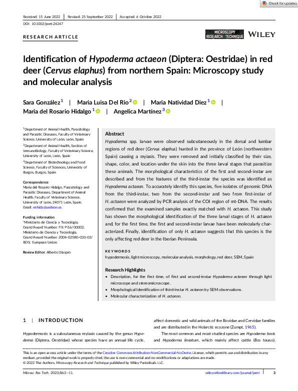 (PDF) Identification of Hypoderma actaeon (Diptera: Oestridae) in red ...