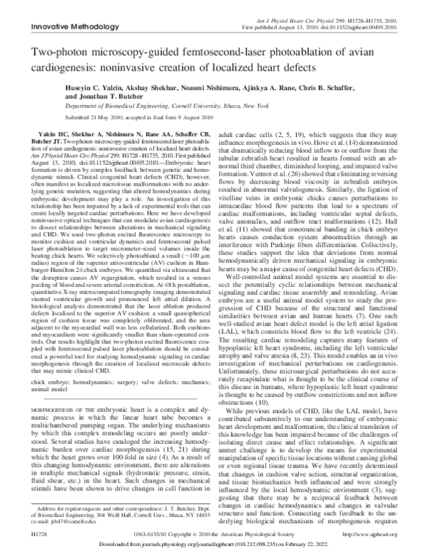 (PDF) Two-photon microscopy-guided femtosecond-laser photoablation of avian cardiogenesis ...