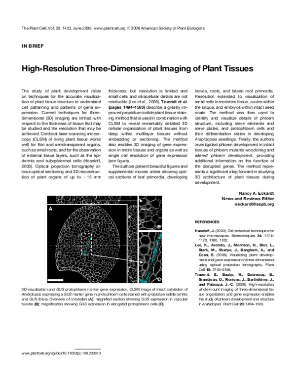 (PDF) High resolution three dimensional imaging of placental villi using serial block face ...