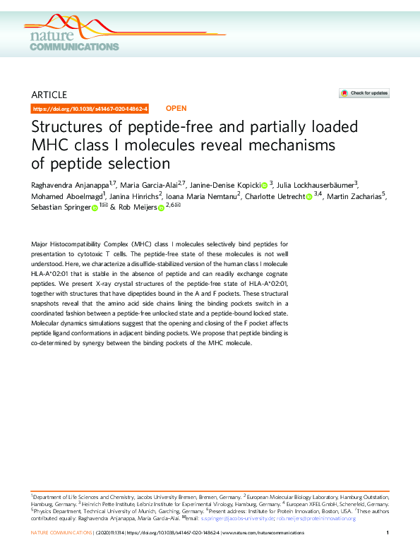 (PDF) Structures of peptide-free and partially loaded MHC class I molecules reveal mechanisms of ...