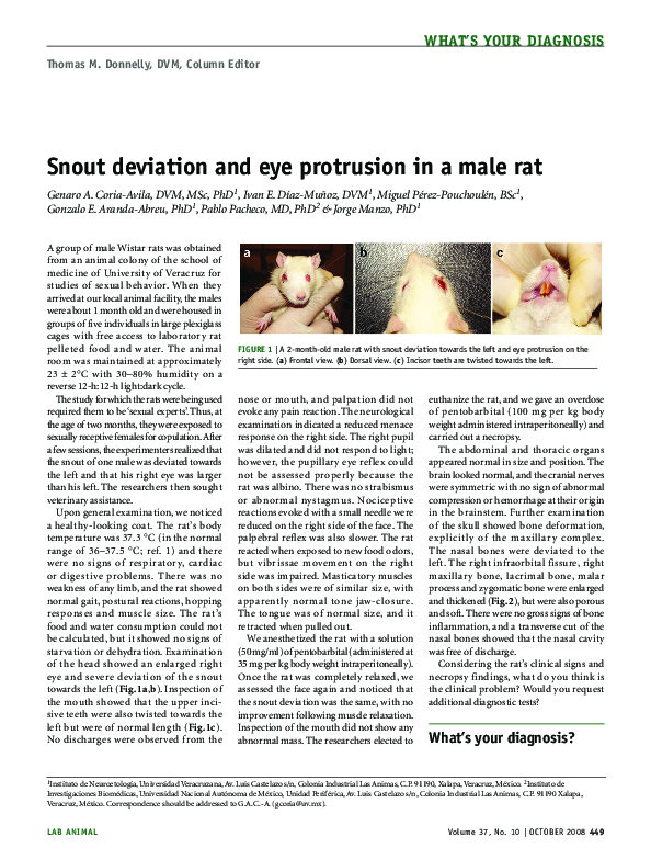 (PDF) Snout deviation and eye protrusion in a male rat
