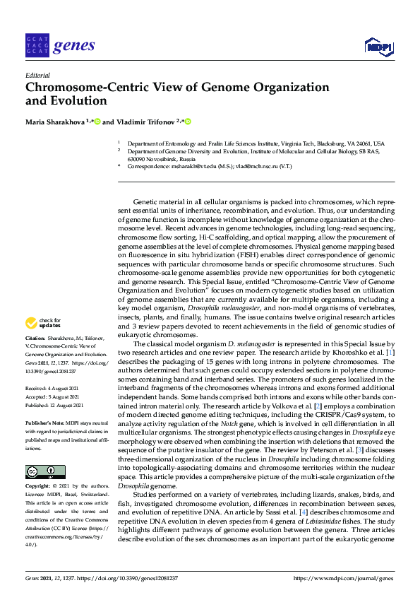 (PDF) Chromosome-centric view of the genome organization and evolution