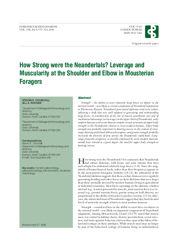 (PDF) How strong were the Neandertals? Leverage and muscularity at the ...