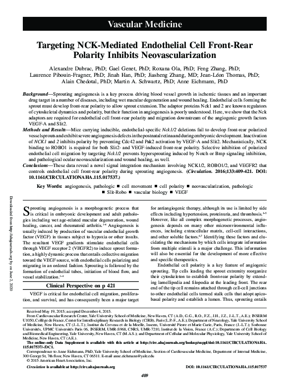 (PDF) NCK1/2 Regulation of Endothelial Cell Polarity