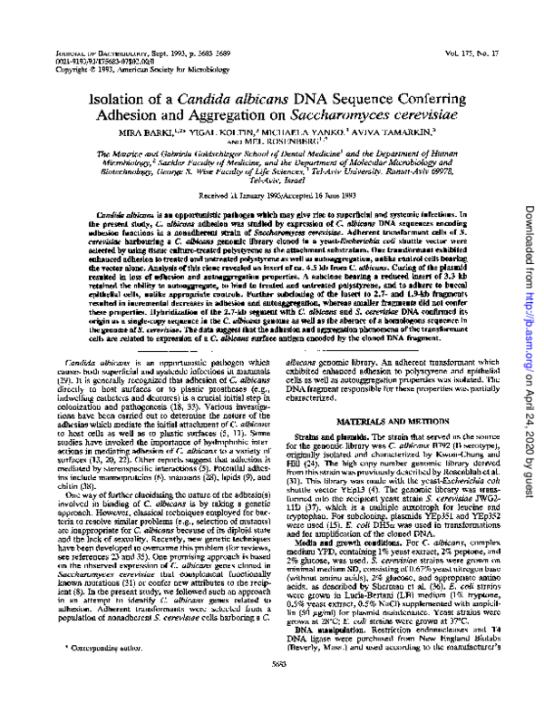 (PDF) Isolation of a Candida albicans DNA sequence conferring adhesion ...