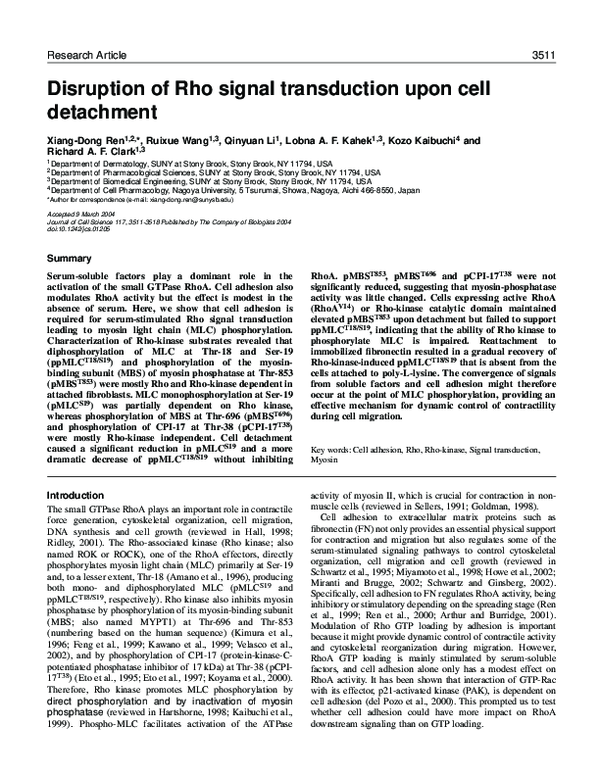 (PDF) Disruption of Rho signal transduction upon cell detachment