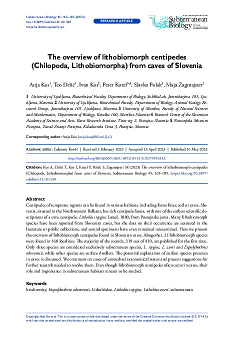 (PDF) The overview of lithobiomorph centipedes (Chilopoda ...