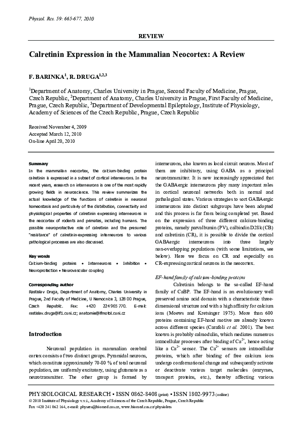 (PDF) Calretinin expression in the mammalian neocortex: a review