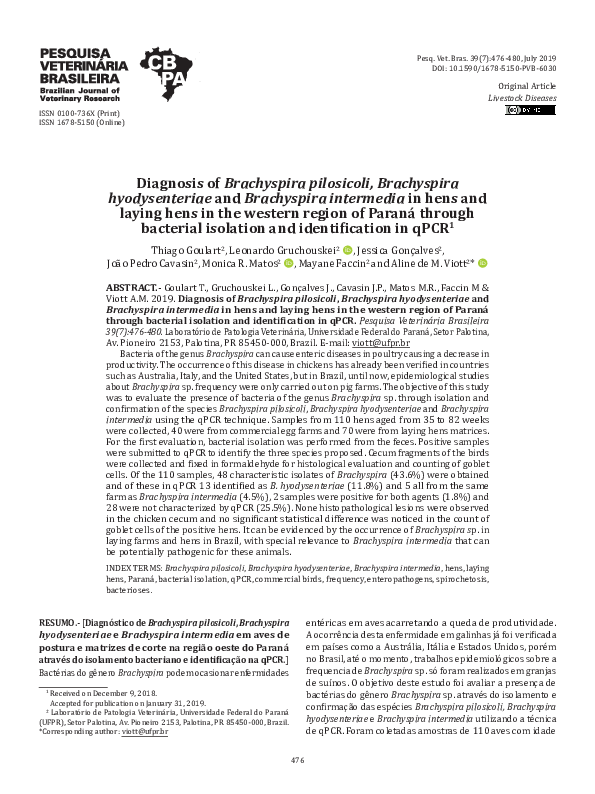 (PDF) Diagnosis of Brachyspira pilosicoli, Brachyspira hyodysenteriae ...