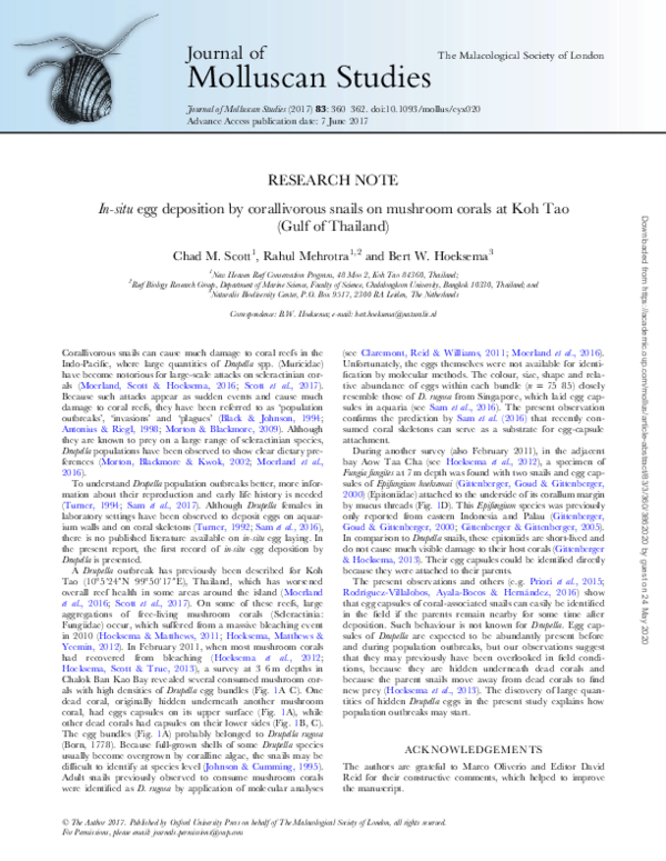 (PDF) In-situ egg deposition by corallivorous snails on mushroom corals ...
