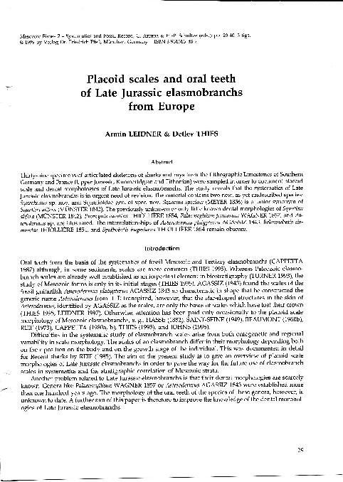 (PDF) Leidner, A. & Thies, D. (1999): Placoid scales and oral teeth of ...