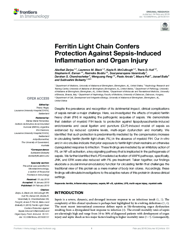 (PDF) Ferritin Light Chain Confers Protection Against Sepsis-Induced ...