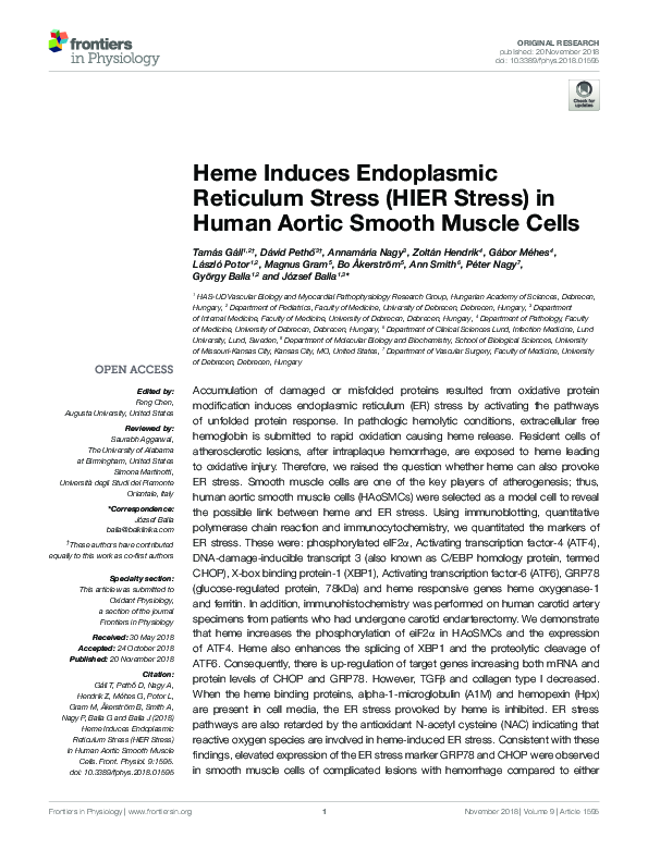 (PDF) Heme Induces Endoplasmic Reticulum Stress (HIER Stress) in Human ...