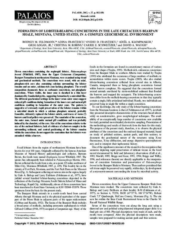 (PDF) Formation of Lobster-Bearing Concretions in the Late Cretaceous ...