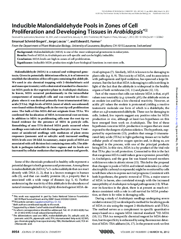 (PDF) Inducible Malondialdehyde Pools in Zones of Cell Proliferation ...