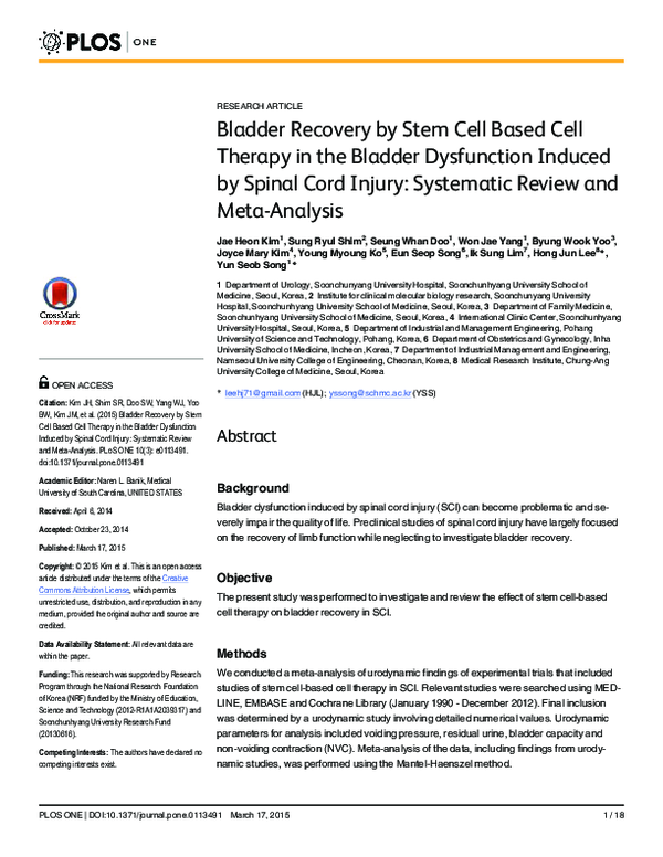 (PDF) Bladder recovery by stem cell based cell therapy in the bladder ...