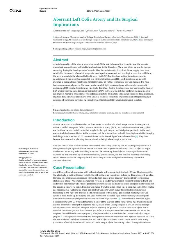 (PDF) Aberrant Left Colic Artery and Its Surgical Implications