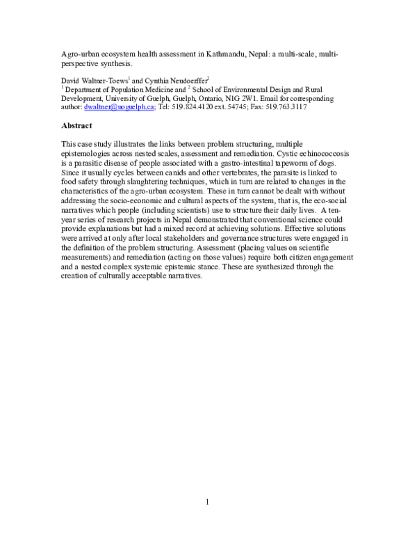 (PDF) Perspective Synthesis
