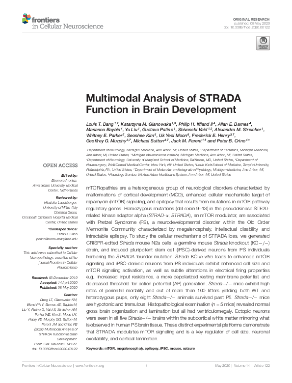 (PDF) Multimodal Analysis of STRADA Function in Brain Development
