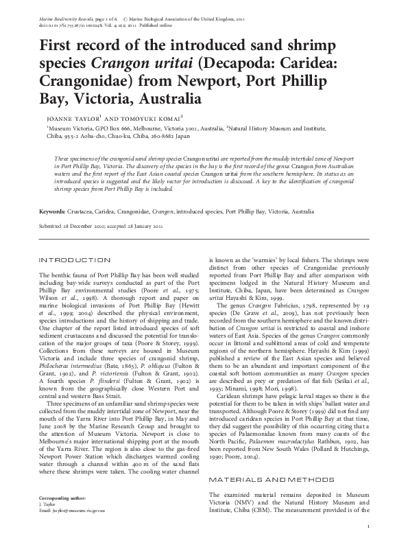 (PDF) First record of the introduced sand shrimp species Crangon uritai ...