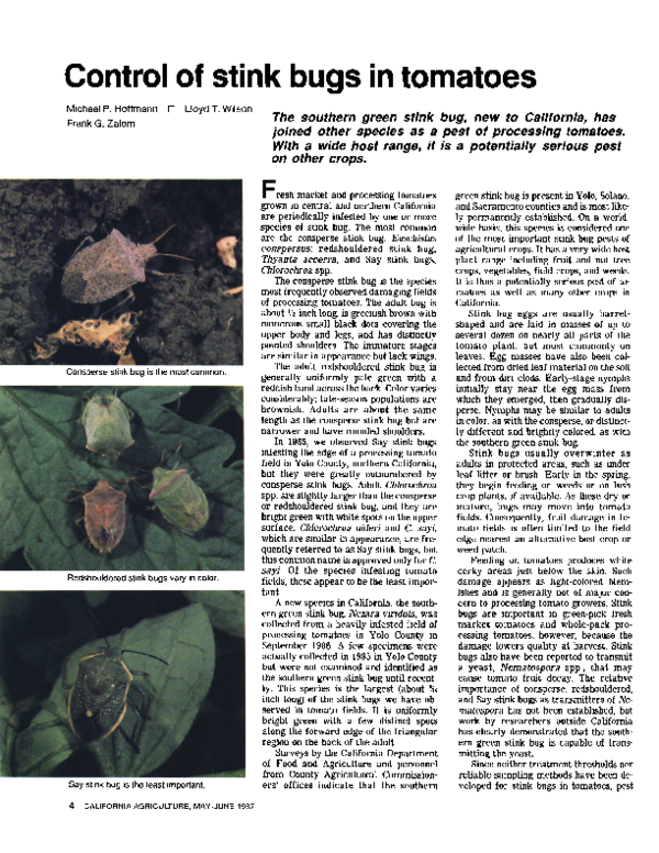 (PDF) Control of stink bugs in tomatoes