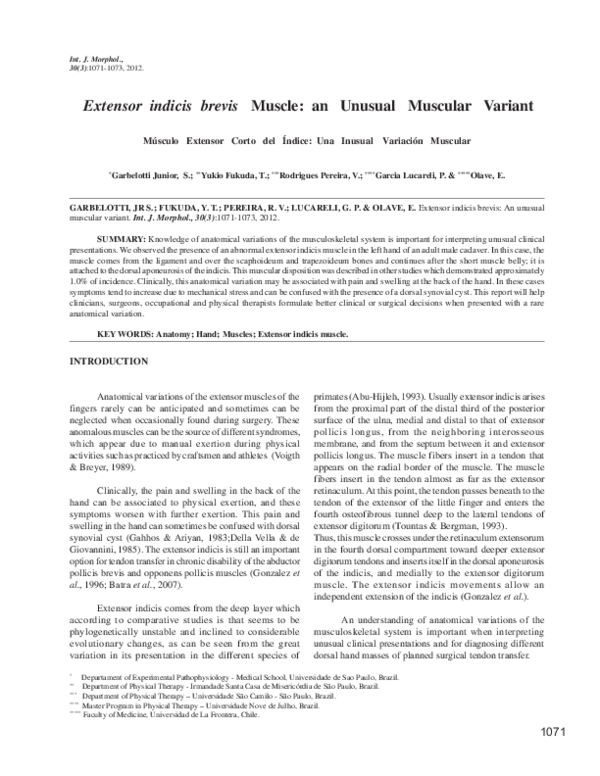 (PDF) Extensor indicis brevis muscle: An unusual muscular variant ...