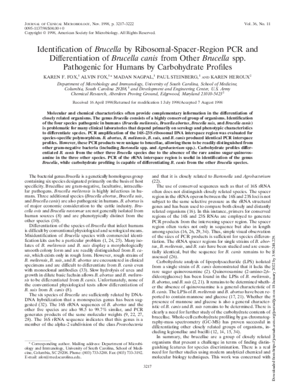 (PDF) Identification of Brucella by ribosomal-spacer-region PCR and ...