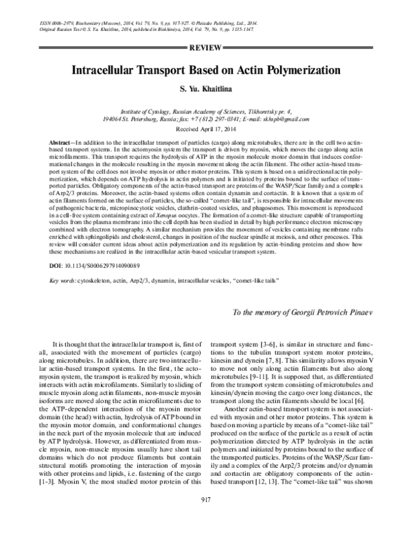 (PDF) Intracellular transport based on actin polymerization
