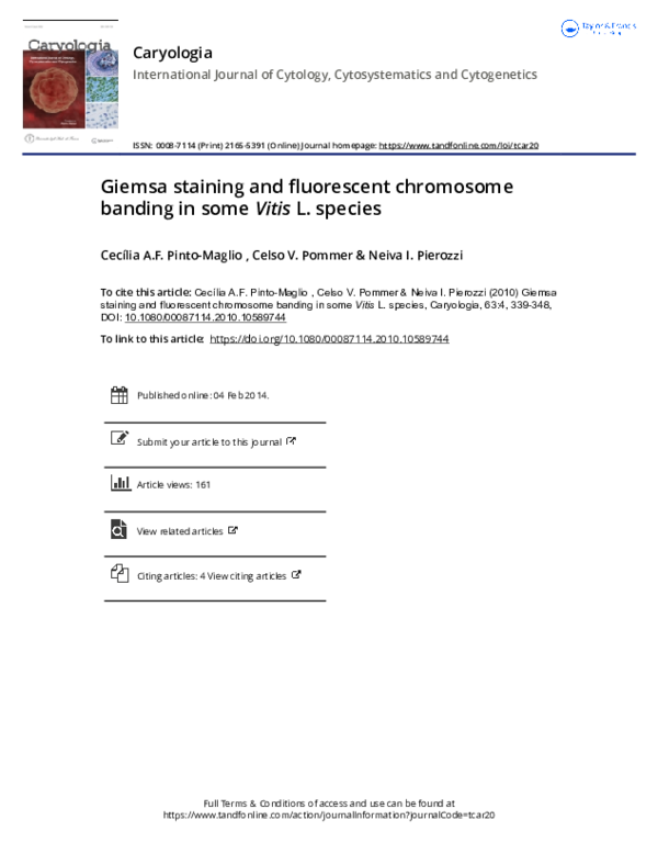 (PDF) Giemsa staining and fluorescent chromosome banding in someVitisL ...