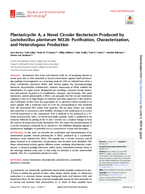 (PDF) Plantaricyclin A, a Novel Circular Bacteriocin Produced by ...