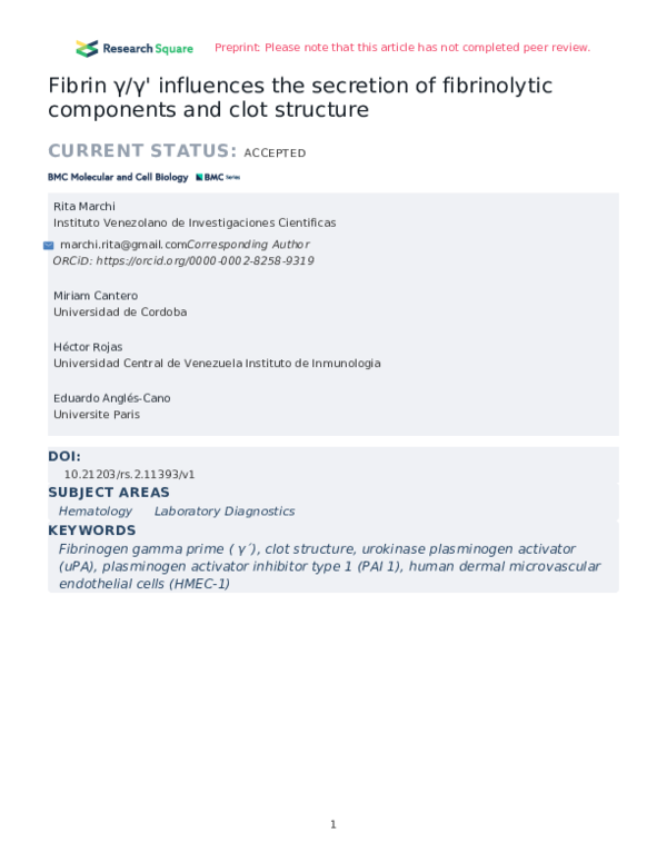 (PDF) Fibrin γ/γ' influences the secretion of fibrinolytic components ...