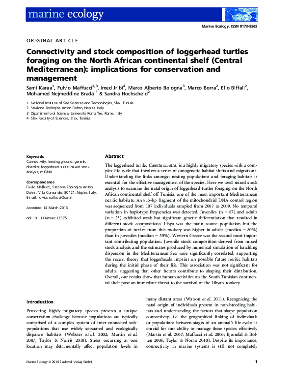 (PDF) Connectivity and stock composition of loggerhead turtles foraging ...